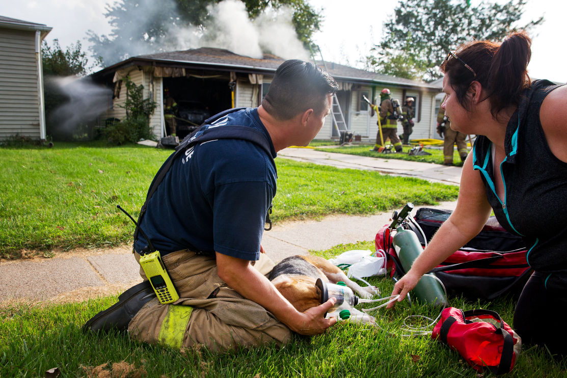 Omaha firefighters rescue dogs from house fire | Archives | omaha.com