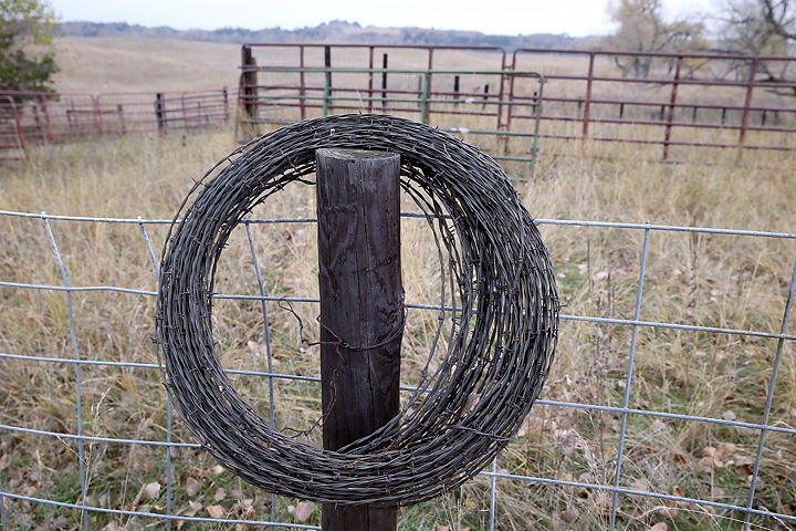 Hall County group works to honor sculptor Solon Borglum