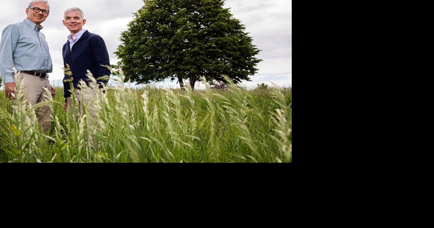 At 180th and Blondo, longtime Mulhall family tree farm to make way for ...