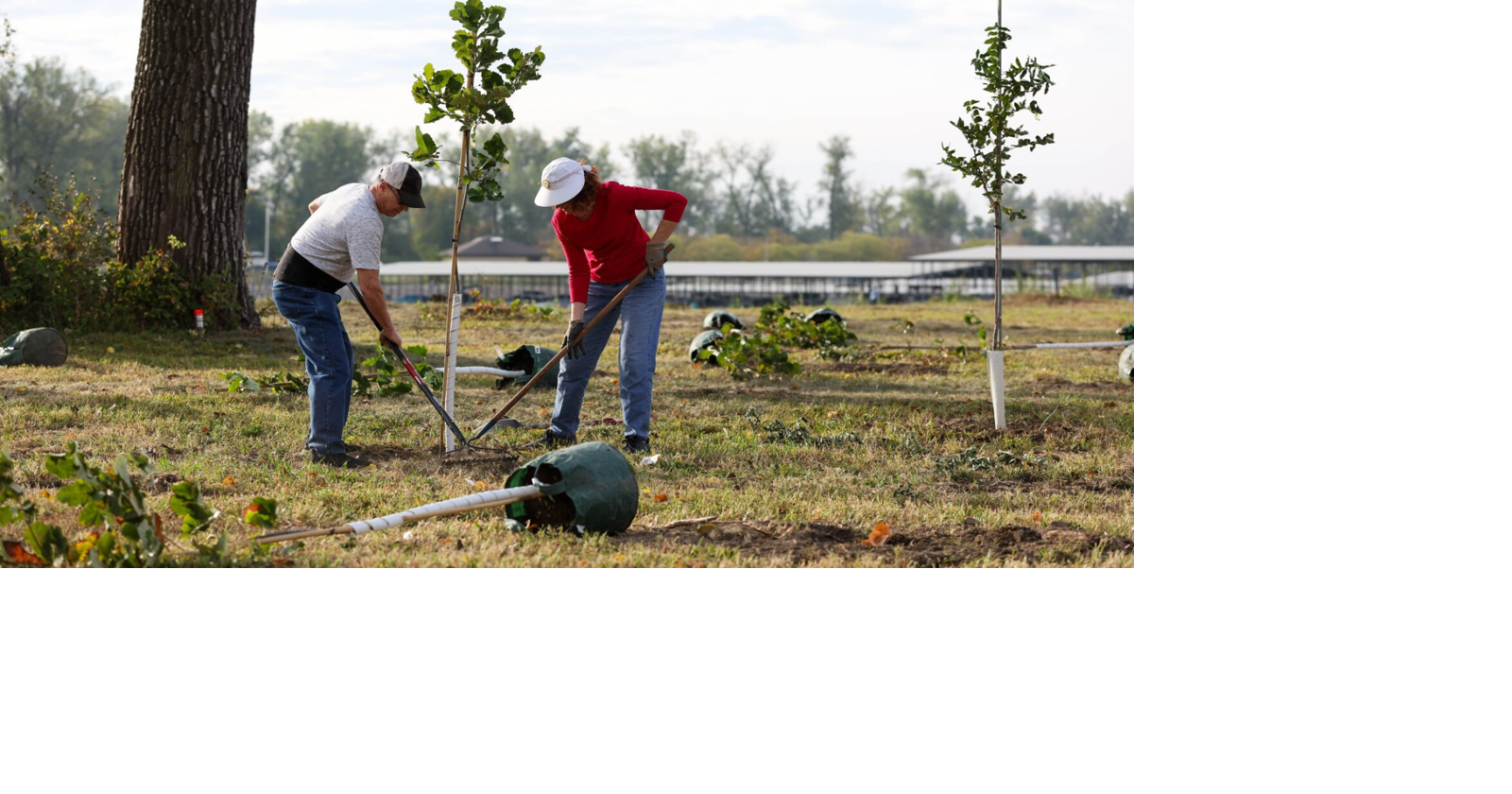 Tree-planting for Nebraska Memorial Forest in second year