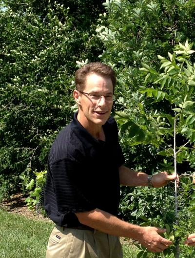 Beneficial Landscapes: Care for the pollinator insect with landscape ...