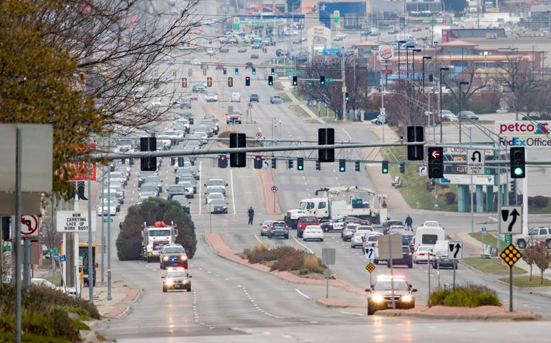 Once a nuisance, 40-foot tree now will be on display at the Durham Museum