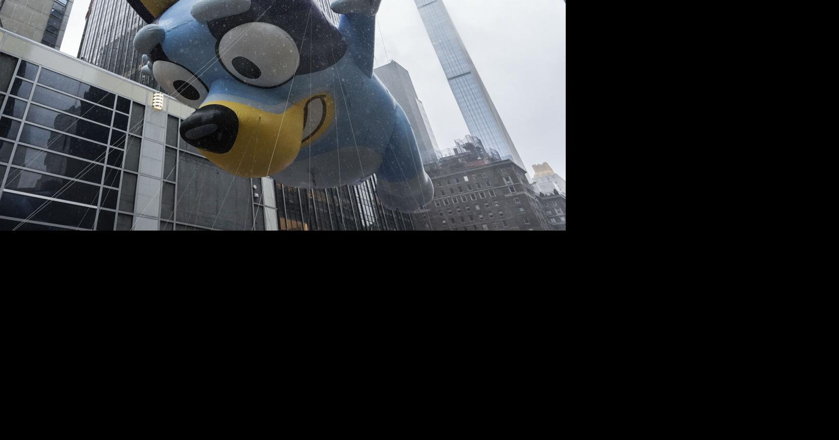 Australian animated series 'Bluey' is getting a feature film