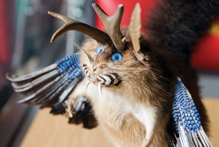 Behold the Frankenrat, a monstrous mash of taxidermist leftovers now ...