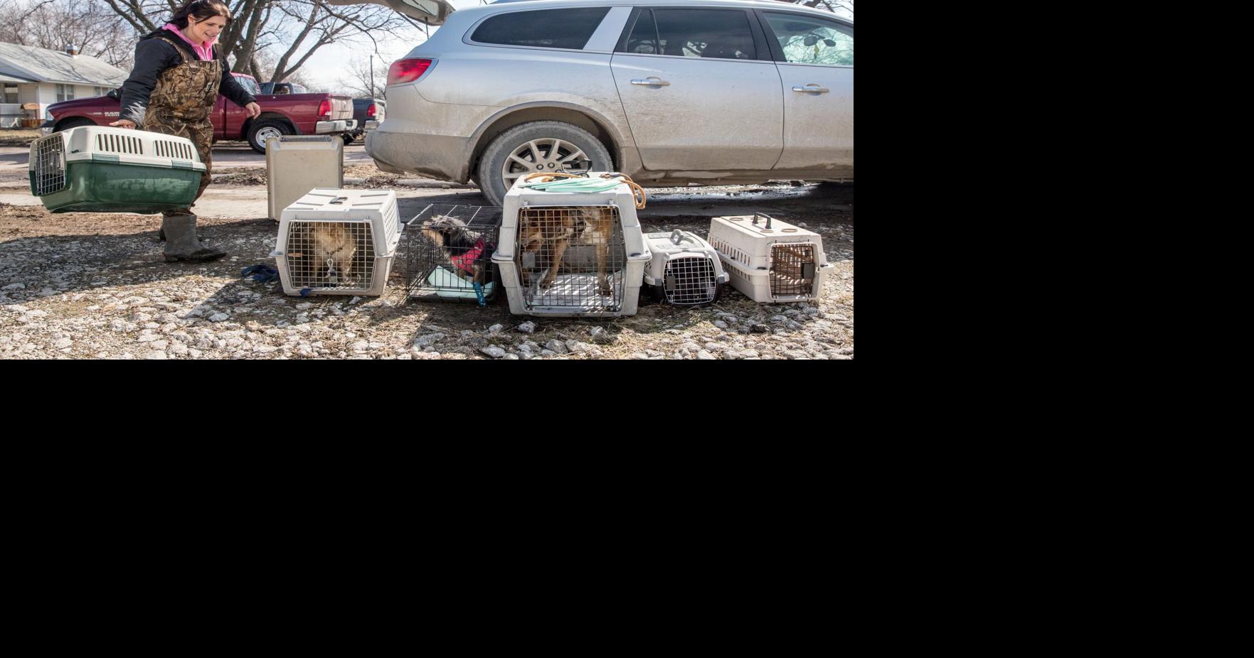 Woman rushes to the rescue of trapped animals in Hamburg, Iowa