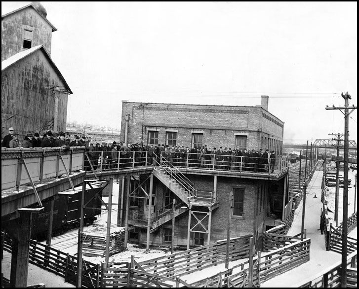 From the Archives: How Omaha's stockyards became the 'world's largest'