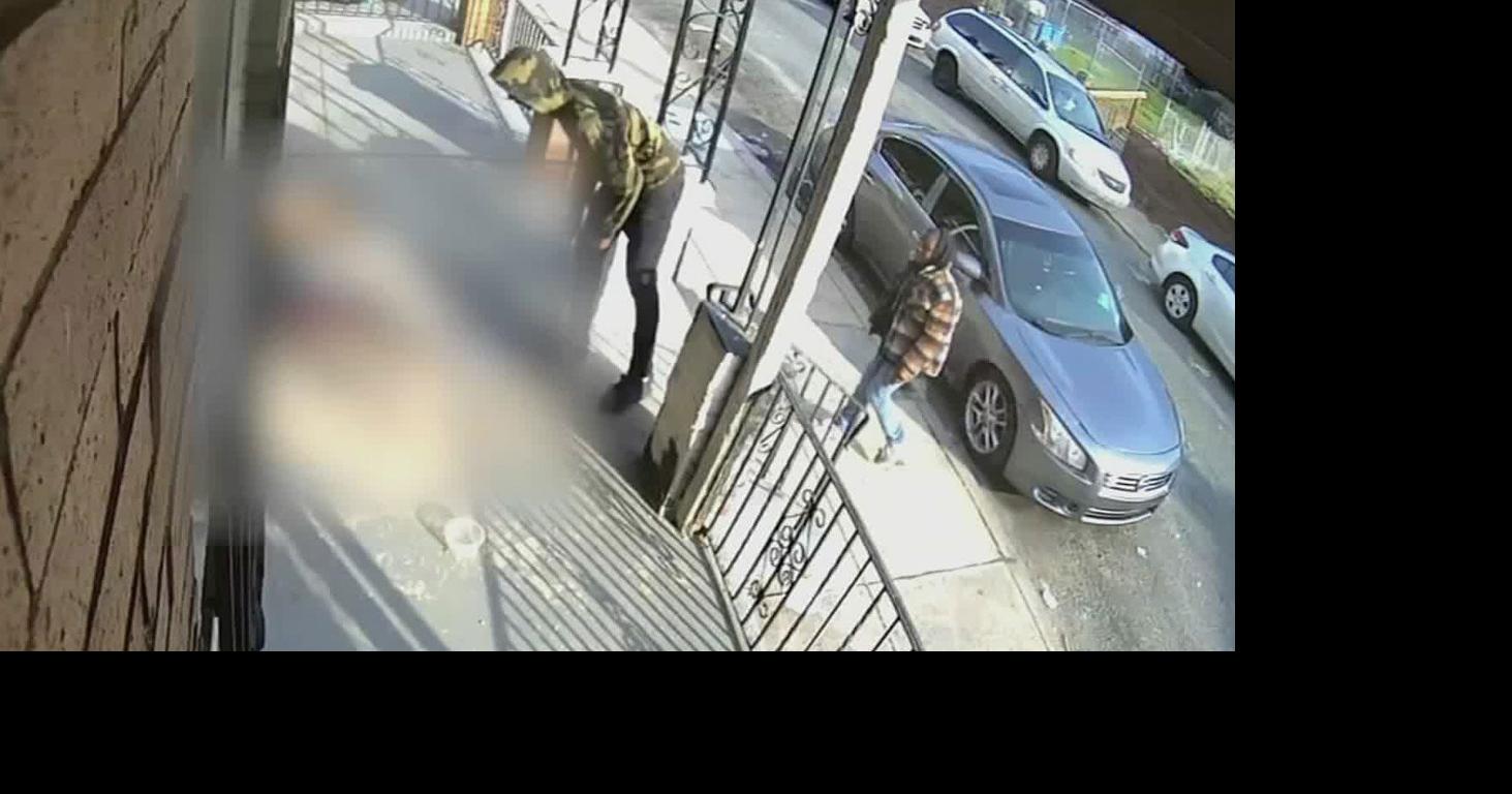 2 sought after dogs attack cat in Philadelphia