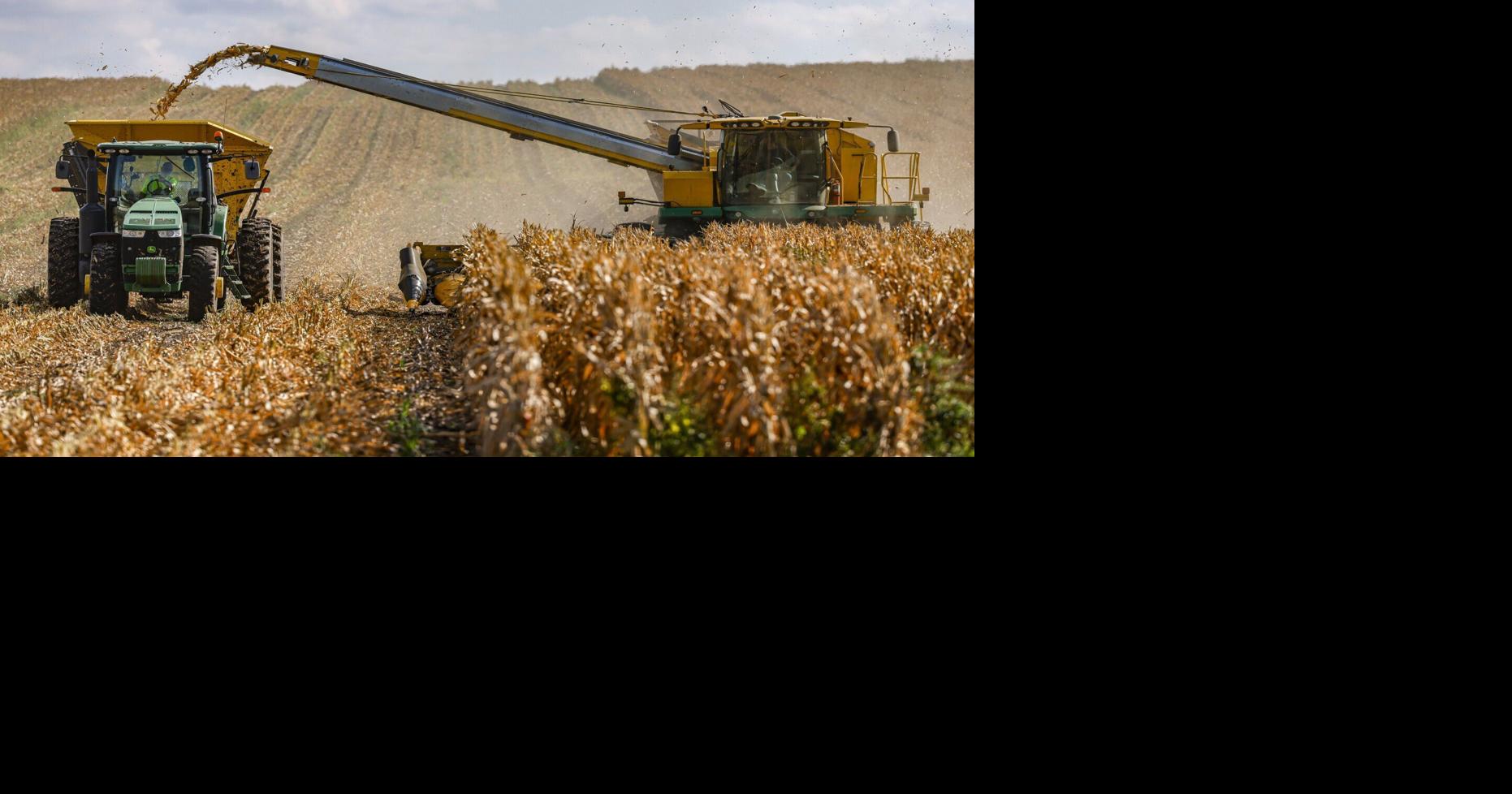 Iowa farmers set corn production, bean yield record in 2025