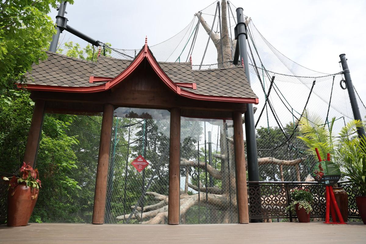 Omaha zoo renovates Hubbard Orangutan Forest