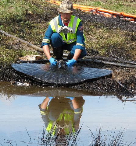 The Public Pulse: Keystone XL pipeline isn't worth the risk to our ...