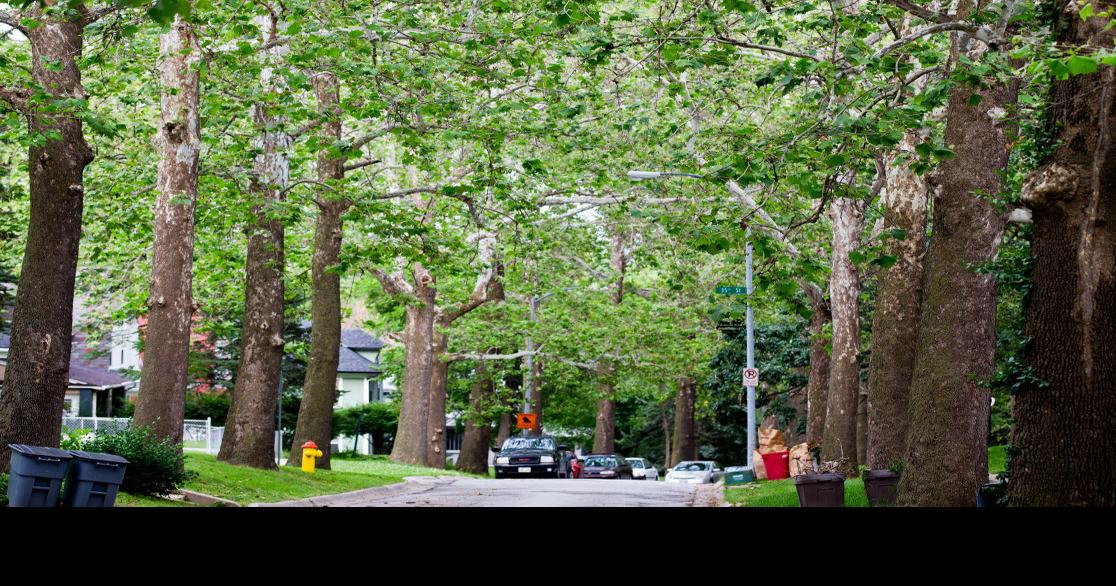 Bemis Park's historic touches, personal stories make these streets a ...