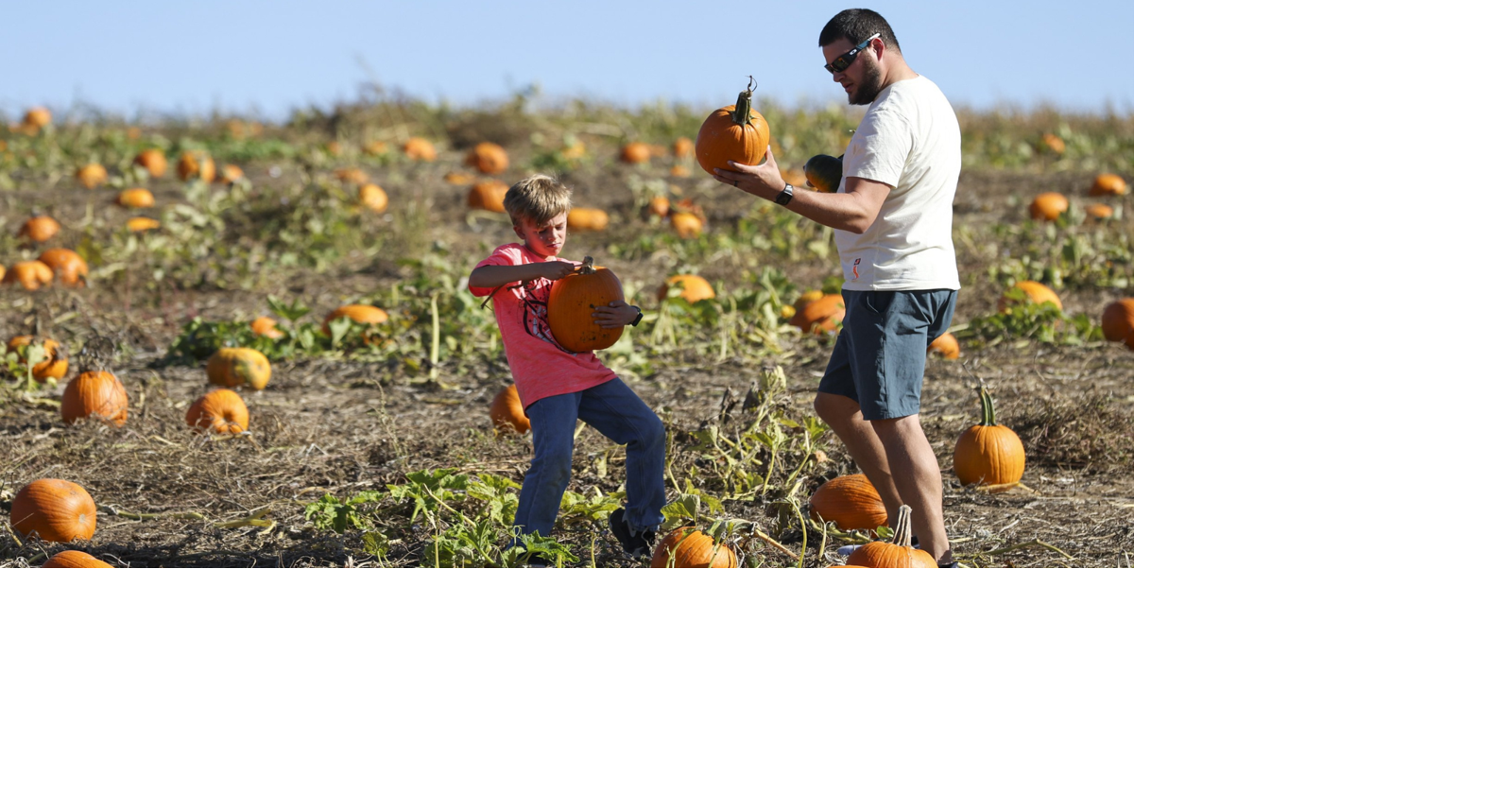 Here's a guide to pumpkin patches near Omaha offering fall-themed fun