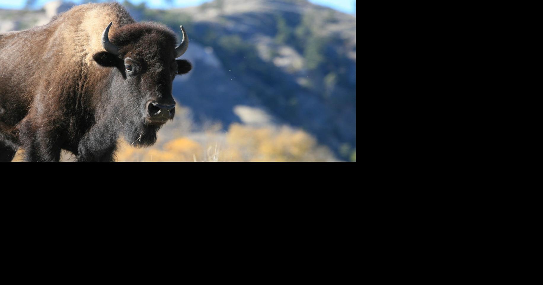 Photos: Nebraska State Parks