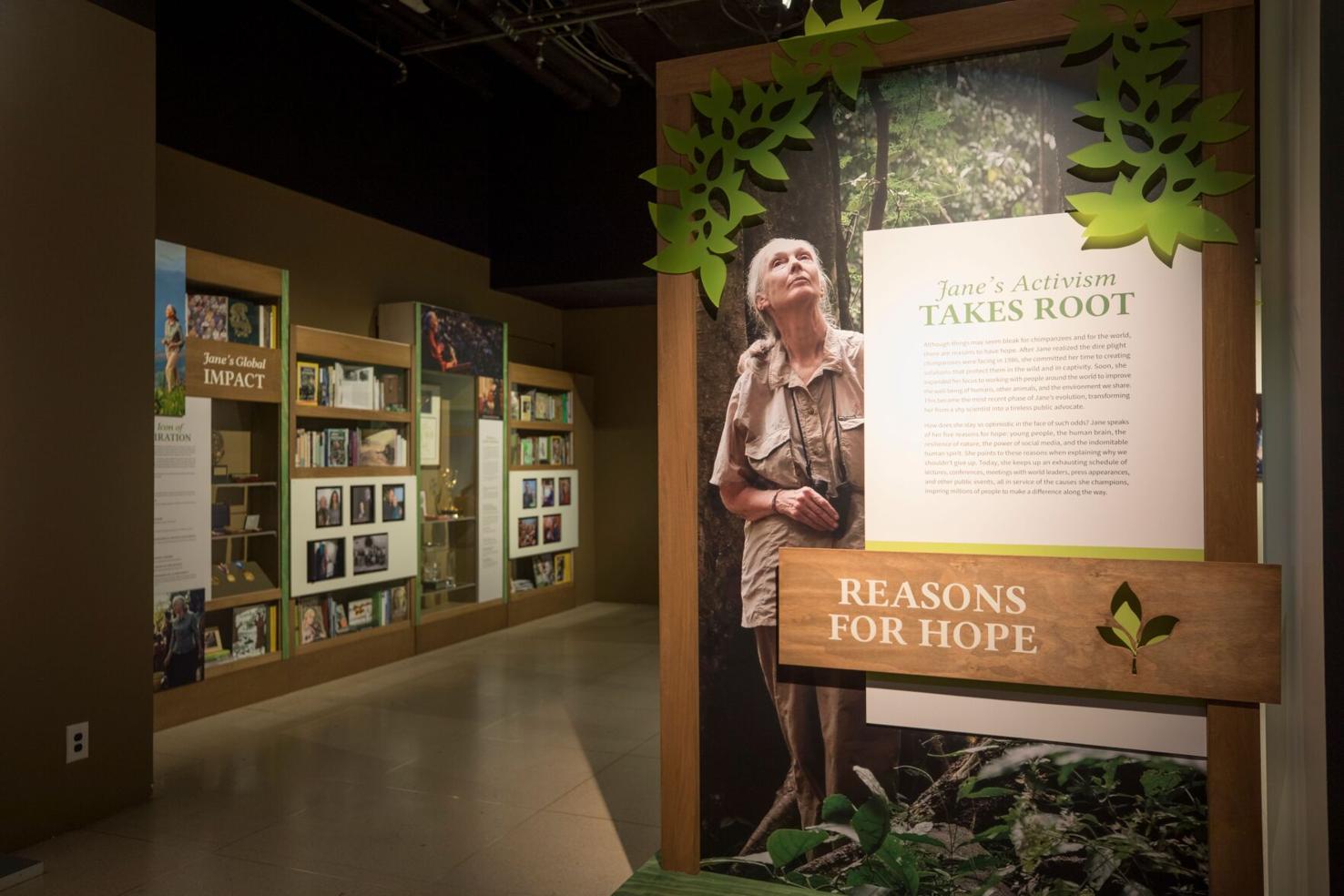 Short Takes: Jane Goodall will be centerpiece of exhibit at Omaha's ...