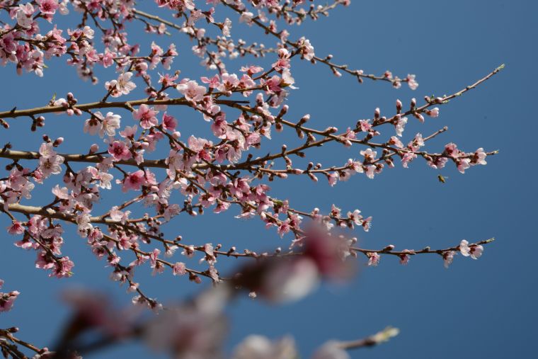 Our wacky spring could bring a record high in the 90s today