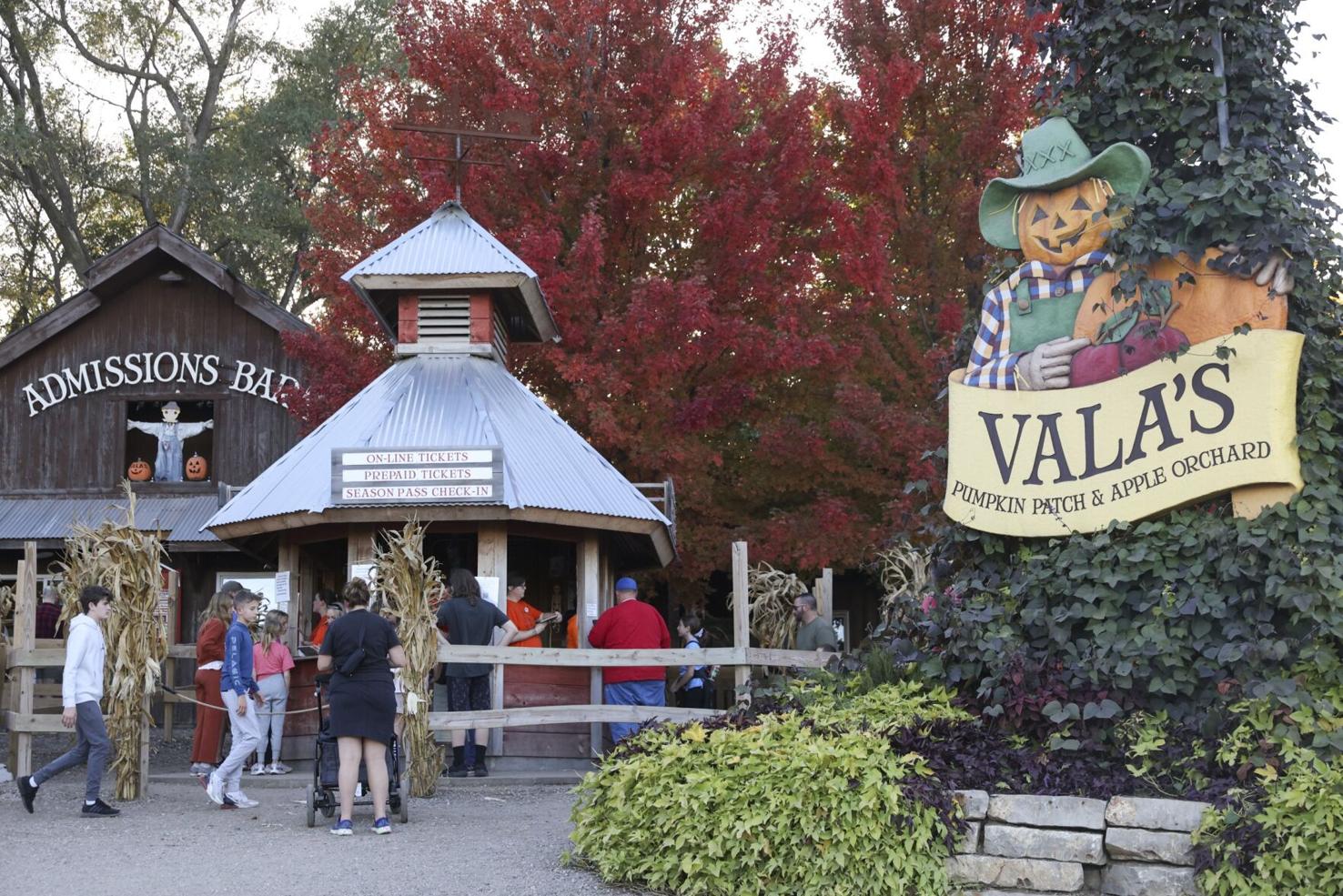 Here's a guide to pumpkin patches near Omaha offering fall-themed fun