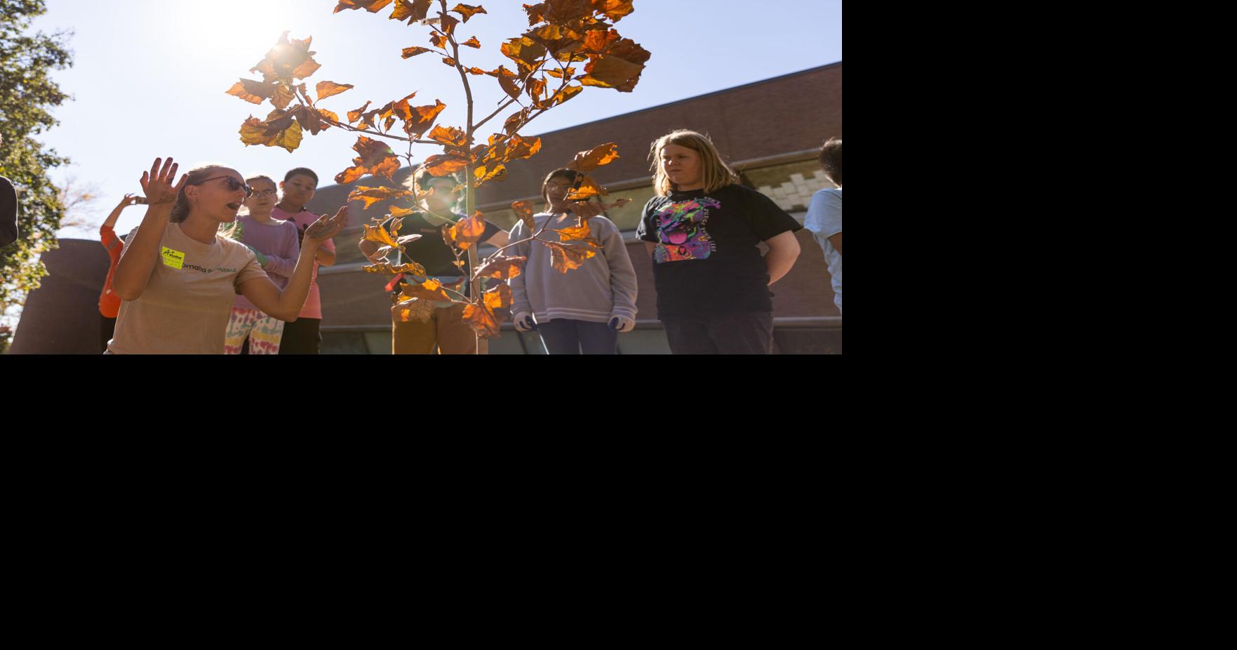 Omaha tree program aims at beauty and climate resilience