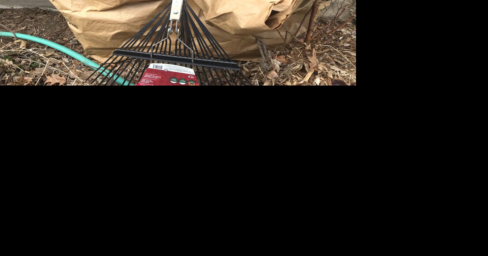In the Garden: Yard waste collection begins Monday but leaves can be ...