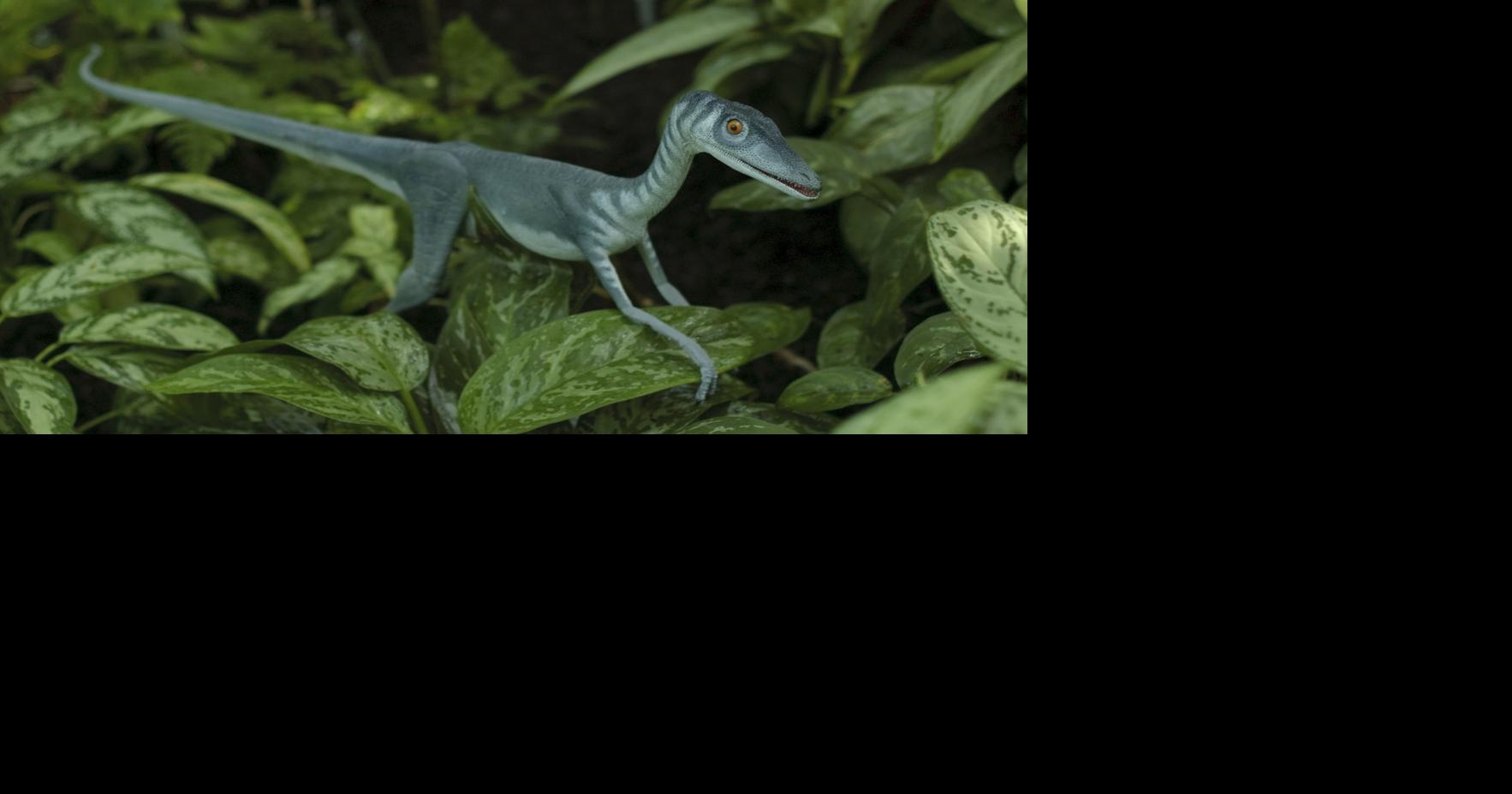 See dinosaurs, a robot zoo, 'Aladdin' on the big stage and 20+ other ...