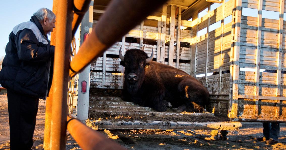 Louis LaRose, longtime advocate for the Winnebago Tribe of Nebraska ...