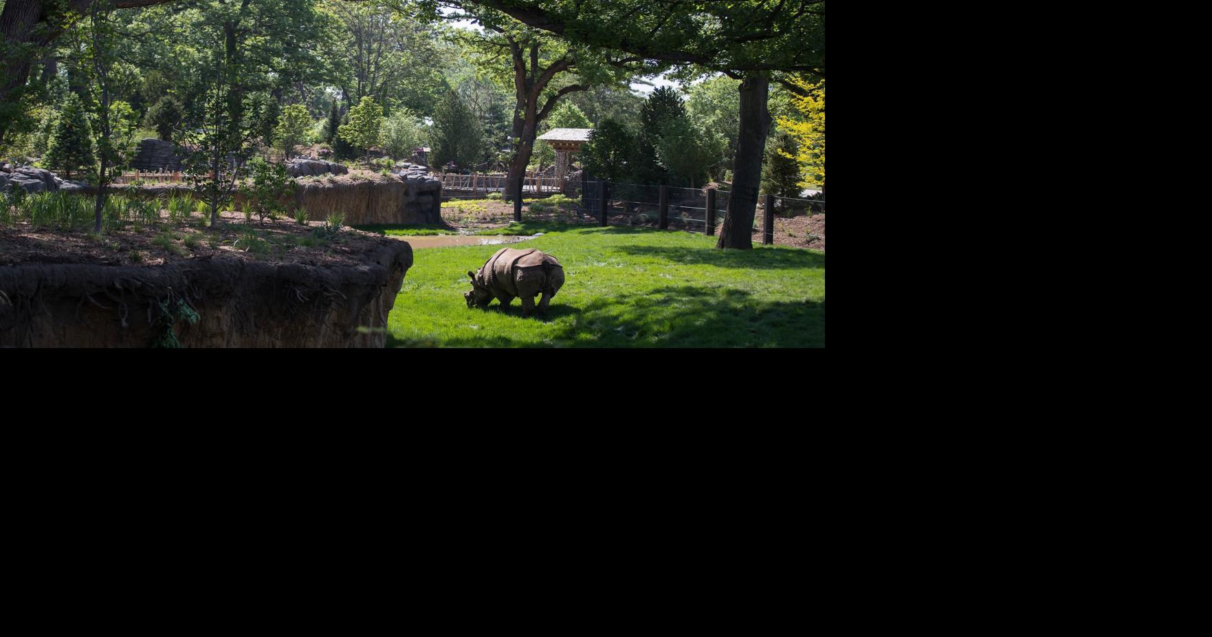 What's new at the zoo? Here's a handy-dandy field guide