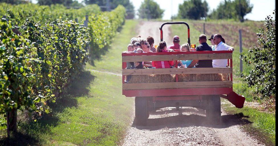 Ready to enjoy autumn? Check out these fall events