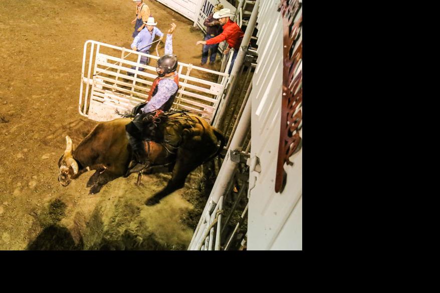 Sarpy County Fair & Rodeo takes fun to extreme with monster trucks ...