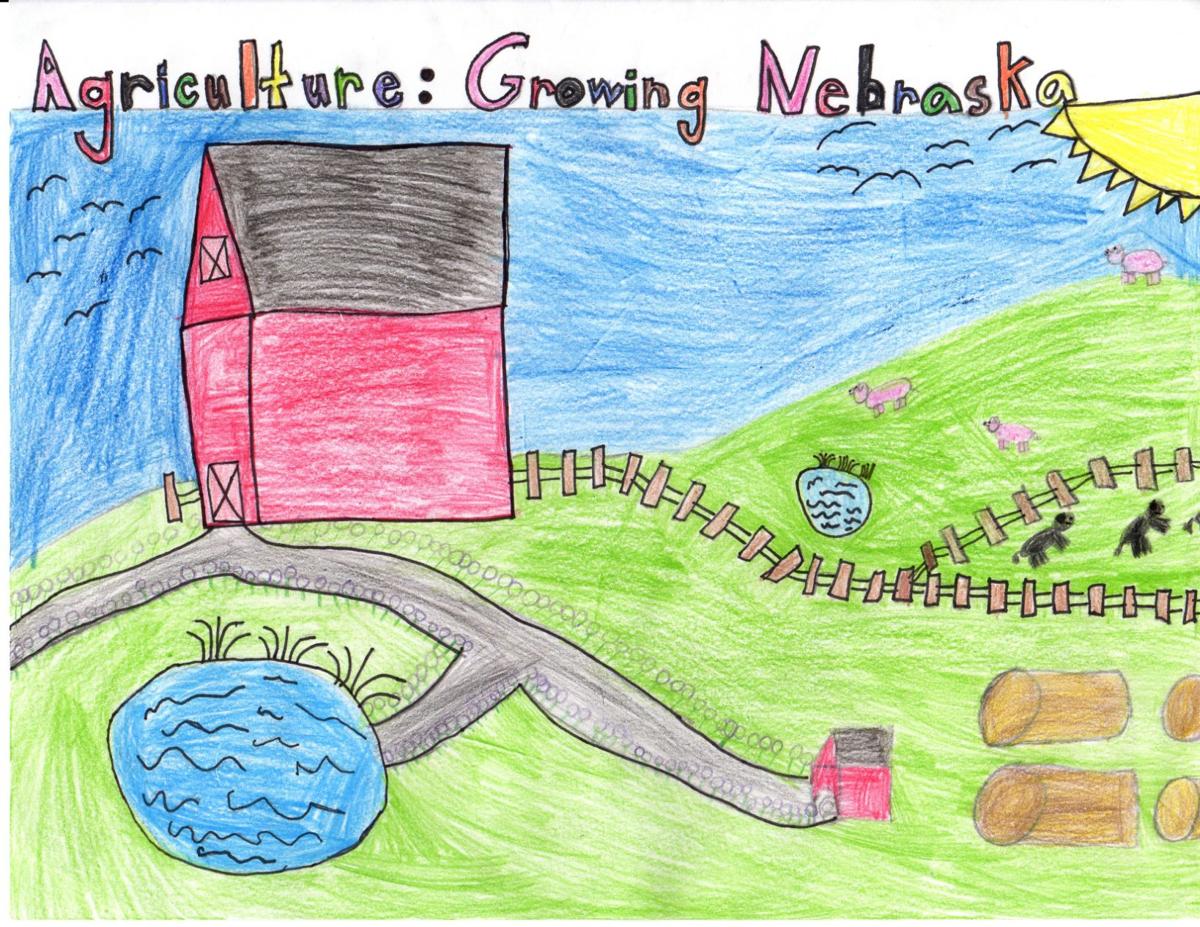 Agriculture focus of elementary students' award-winning posters | Local ...