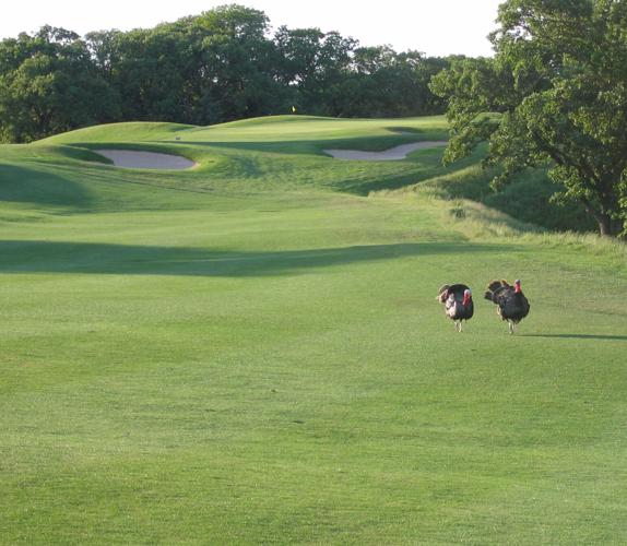 Here's who qualified for the US Senior Open at Omaha's Shadow Ridge
