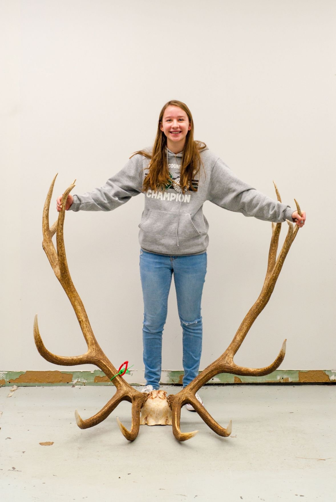 Eighth-grader's monster bull elk officially declared a state record ...
