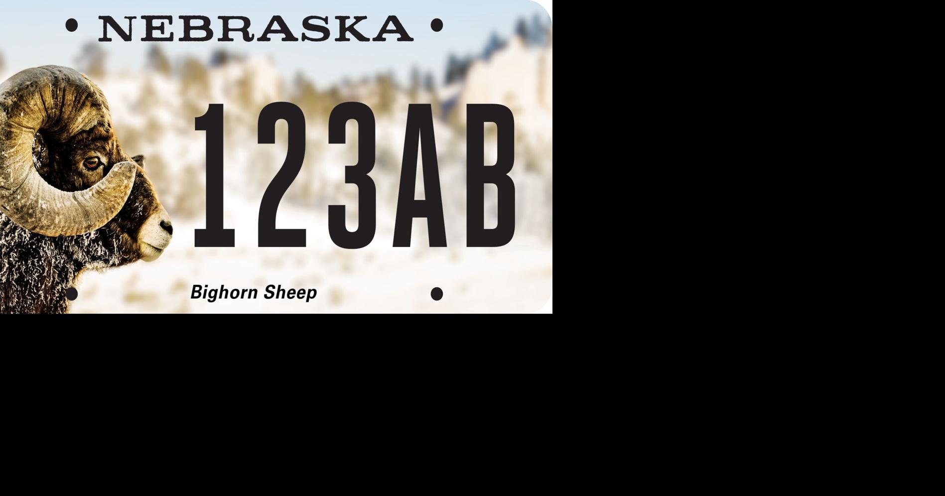 Bighorn sheep, sandhill crane among Nebraska's latest specialty license ...
