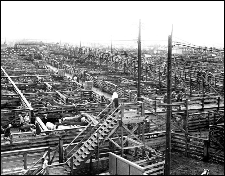 Photos: Omaha Stockyards through the years | Archives | omaha.com