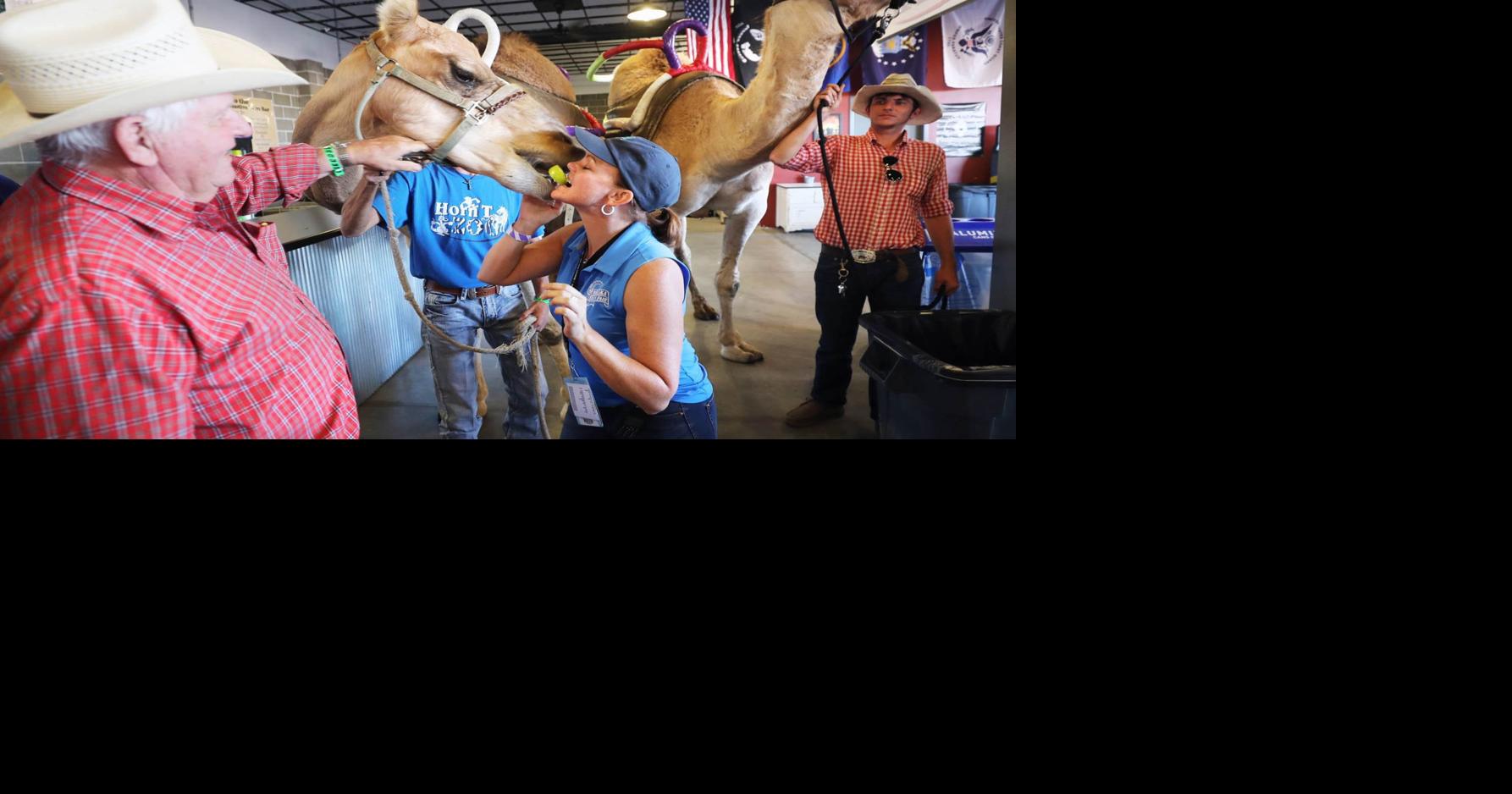Former official says Nebraska State Fair on 'verge of bankruptcy ...