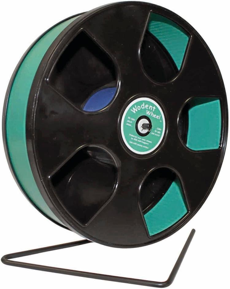 Wodent Wheel 11-Inch Running Wheel