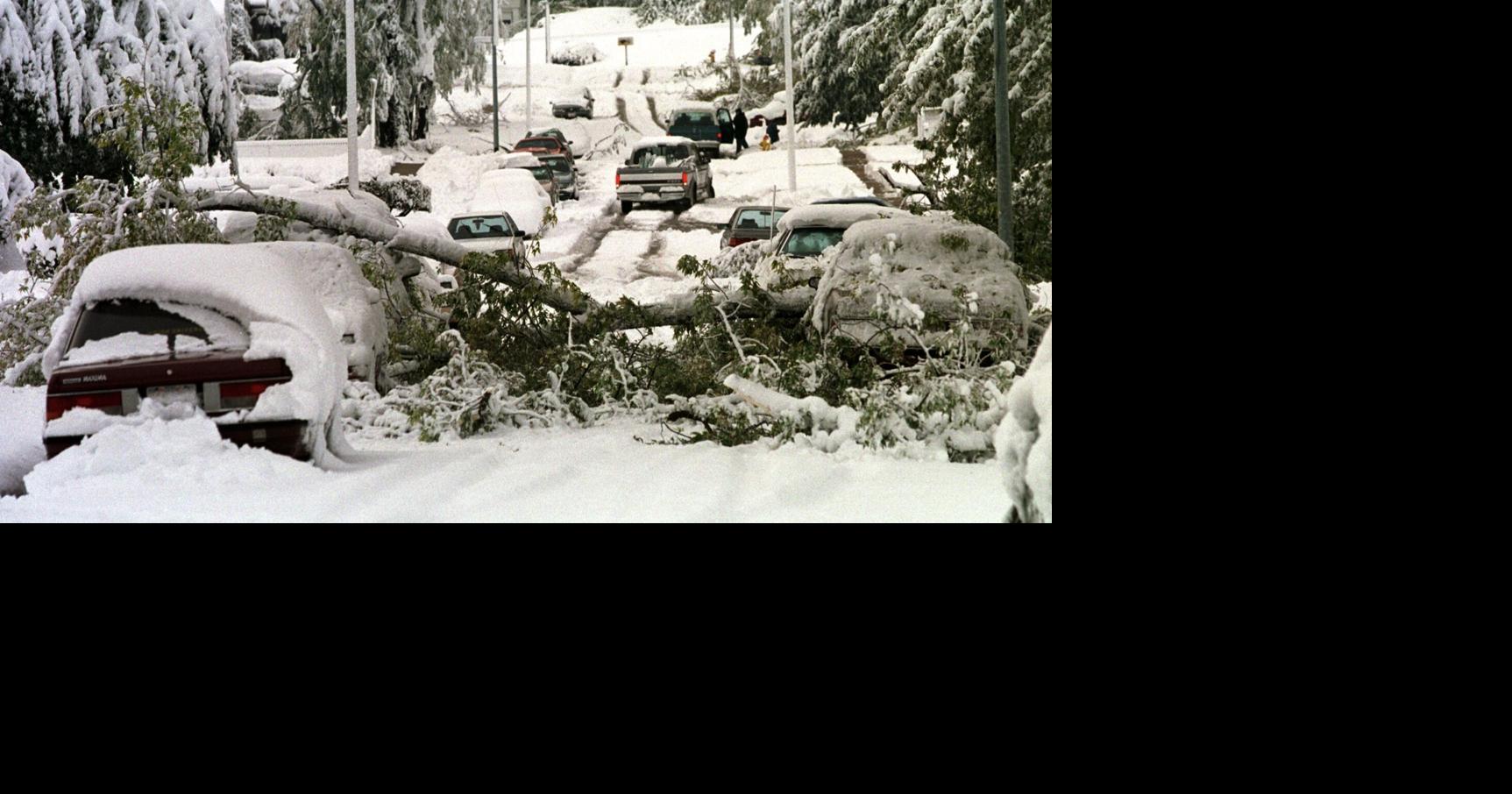 Omaha's 1997 October snowstorm: A deadly blow to metro trees