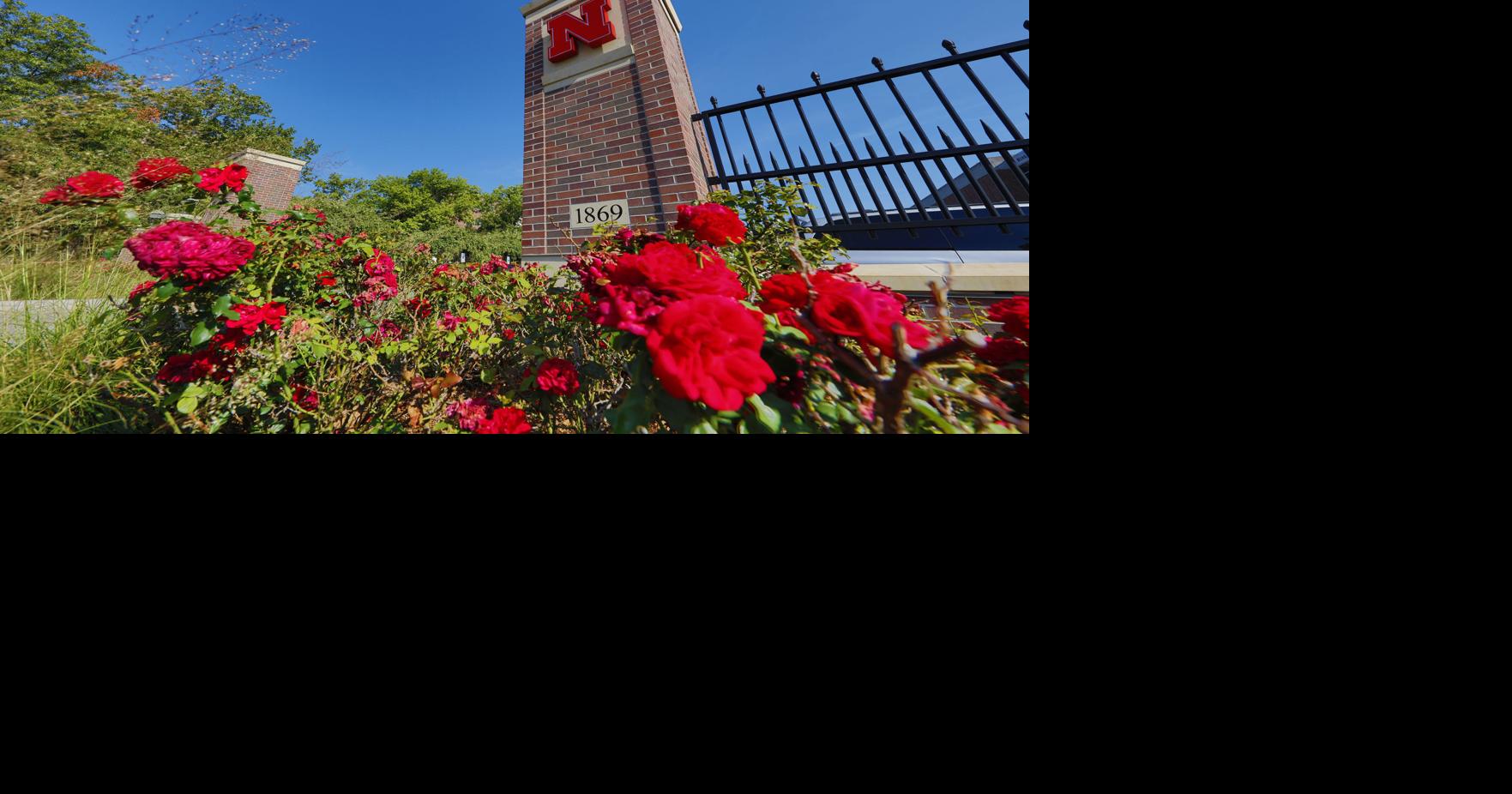 Growing numbers of students are calling on Nebraska colleges to divest ...