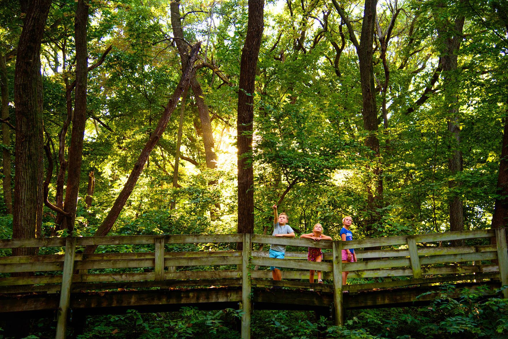 5-acre, treetop-based adventure park opening at Fontenelle Forest ...