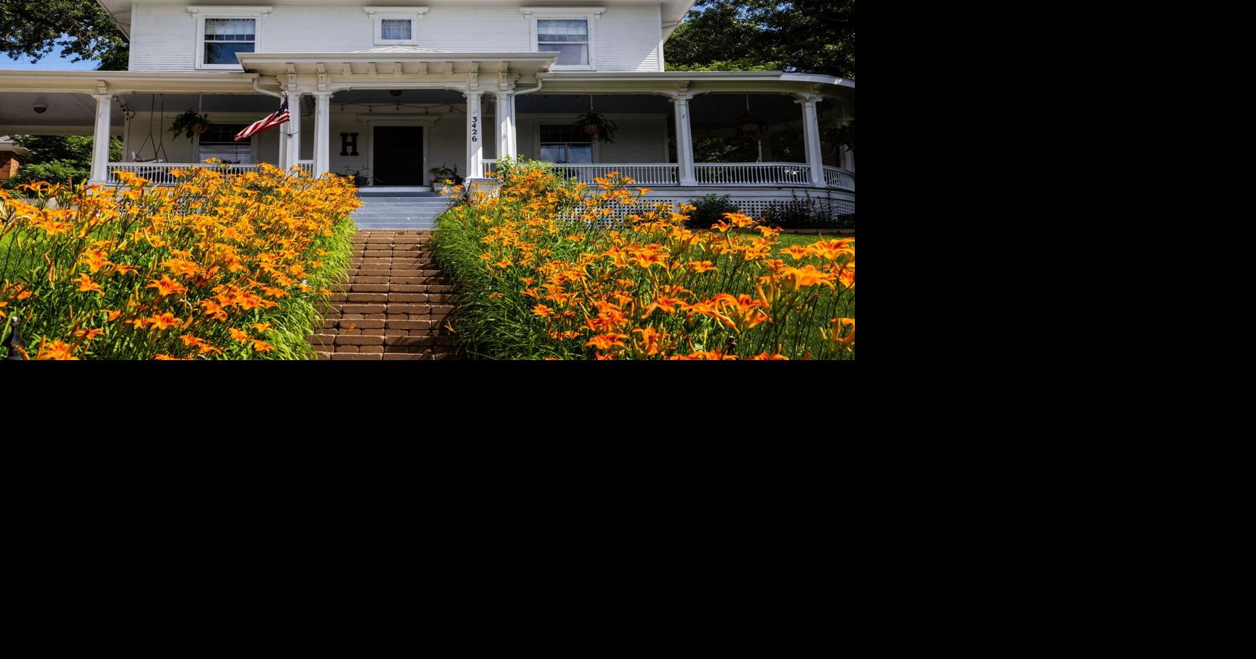 In the Garden: Orange daylilies light up midtown Omaha