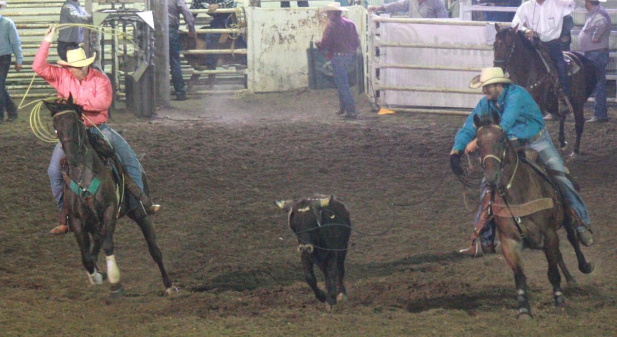 Sarpy County Fair produces big numbers | Papillion Times | omaha.com