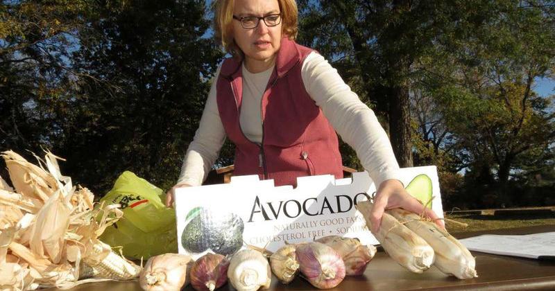 Nebraska gardeners expand mission to save almost-extinct Pawnee corn