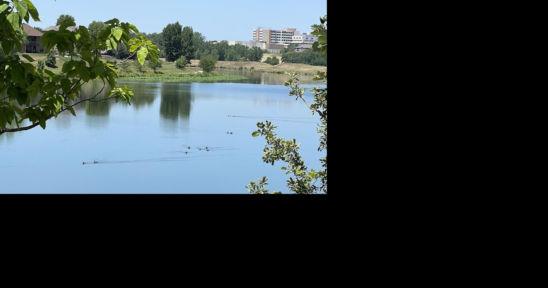 Ducks out for a swim on Papillion's Shadow Lake