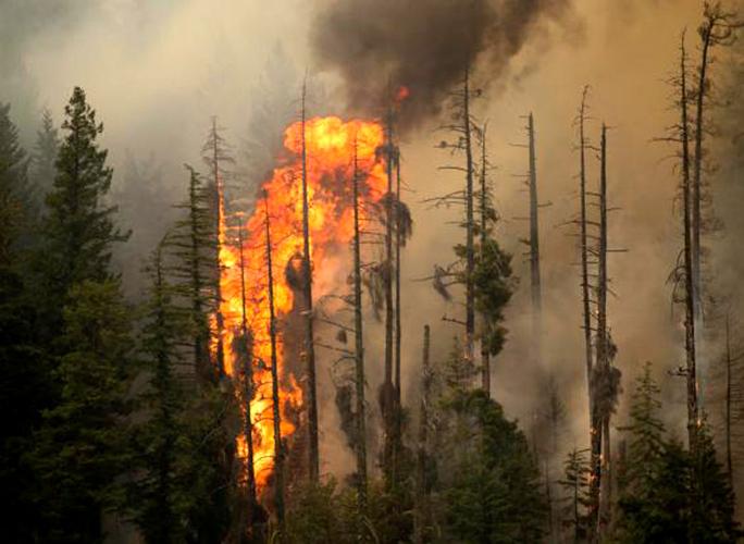 Chelan Complex fire-growth slowed | Fire Central | omakchronicle.com