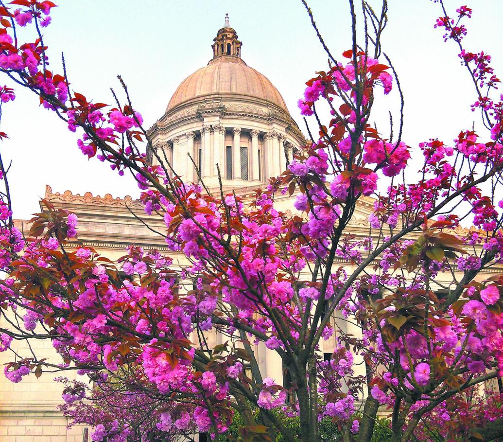Lawmakers move to regulate license plate cameras | Free | omakchronicle.com