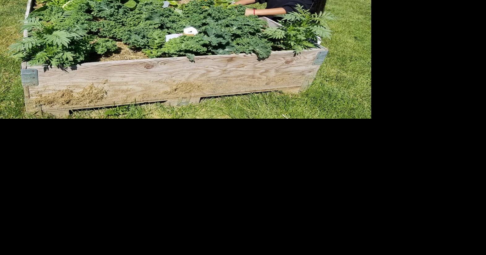 School gardens benefit students, community | Lifestyle | omakchronicle.com