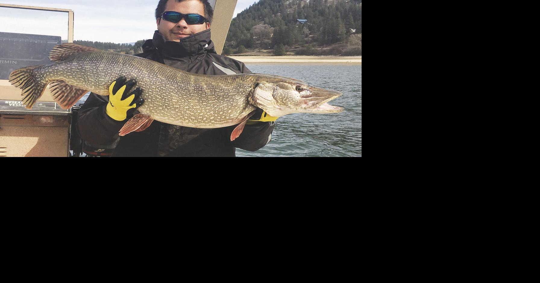 Tribe continues northern pike rewards | Sports | omakchronicle.com
