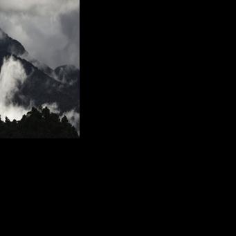 Climate-driven tree deaths speeding up in Australia: study | National ...