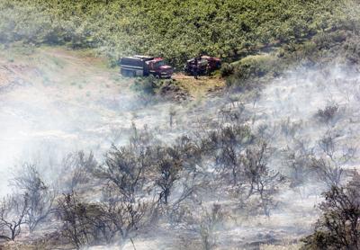 Orchard burn gets away, sets hillside afire | Fire Central ...