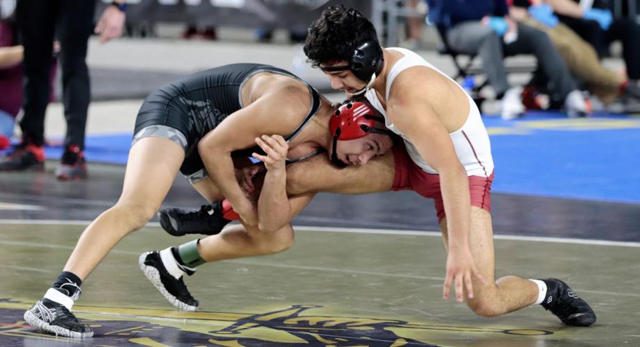 Tigers secure 1B/2B state team title | Sports | omakchronicle.com