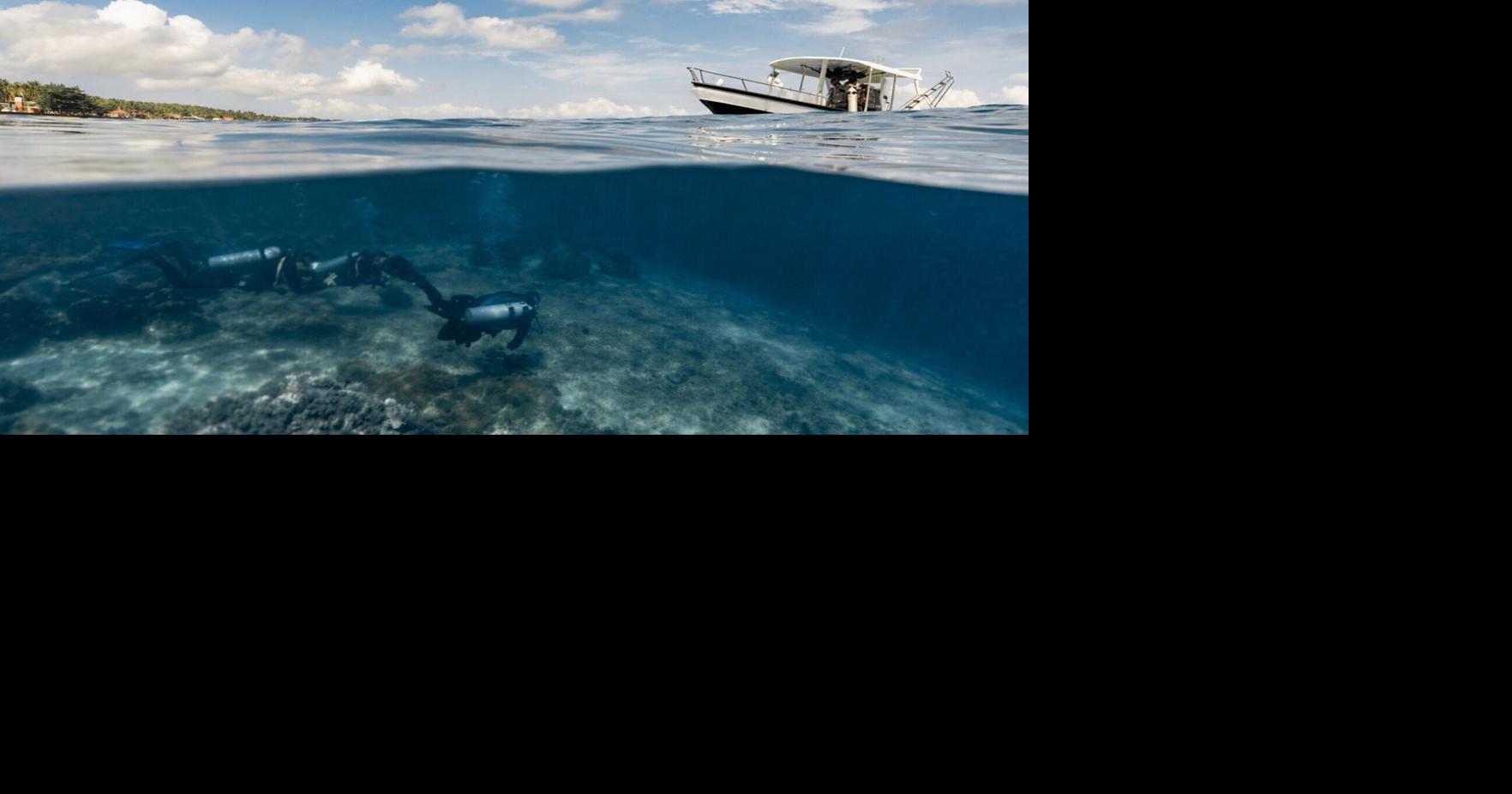 Scuba-diving tourists unwittingly destroying coral reefs | National ...