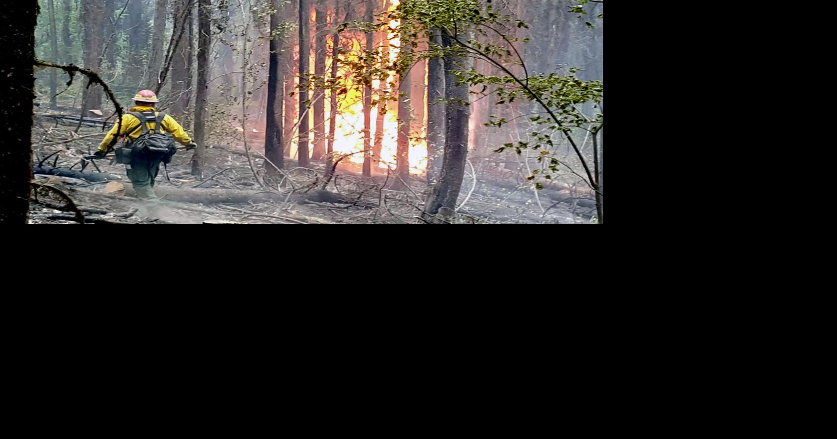 Crews gaining ground on Colville Complex | Fire Central | omakchronicle.com